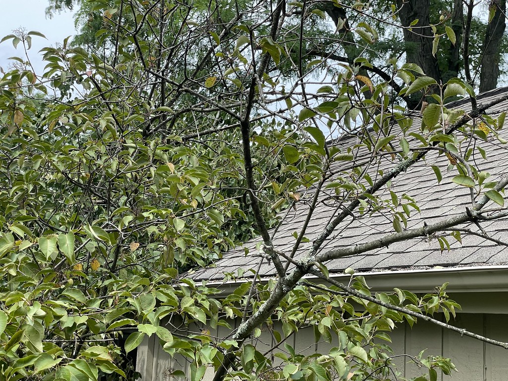 How to Fix Gutter Drainage Overflow, Leaks, & Clogs - Austin Gutter King